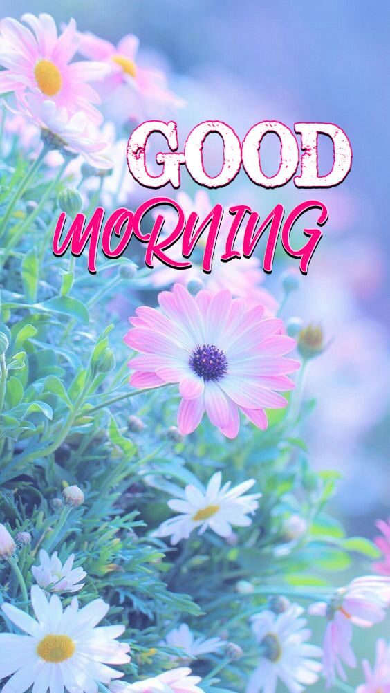 Unusual Good Morning Quotes